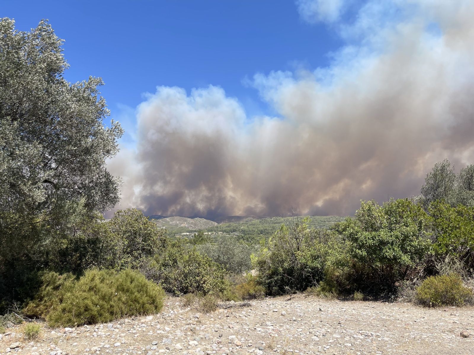 Το άγριο μέτωπο τώρα είναι στα Μάσσαρι και στην Μαλώνα! Η φωτιά γύρισε ...